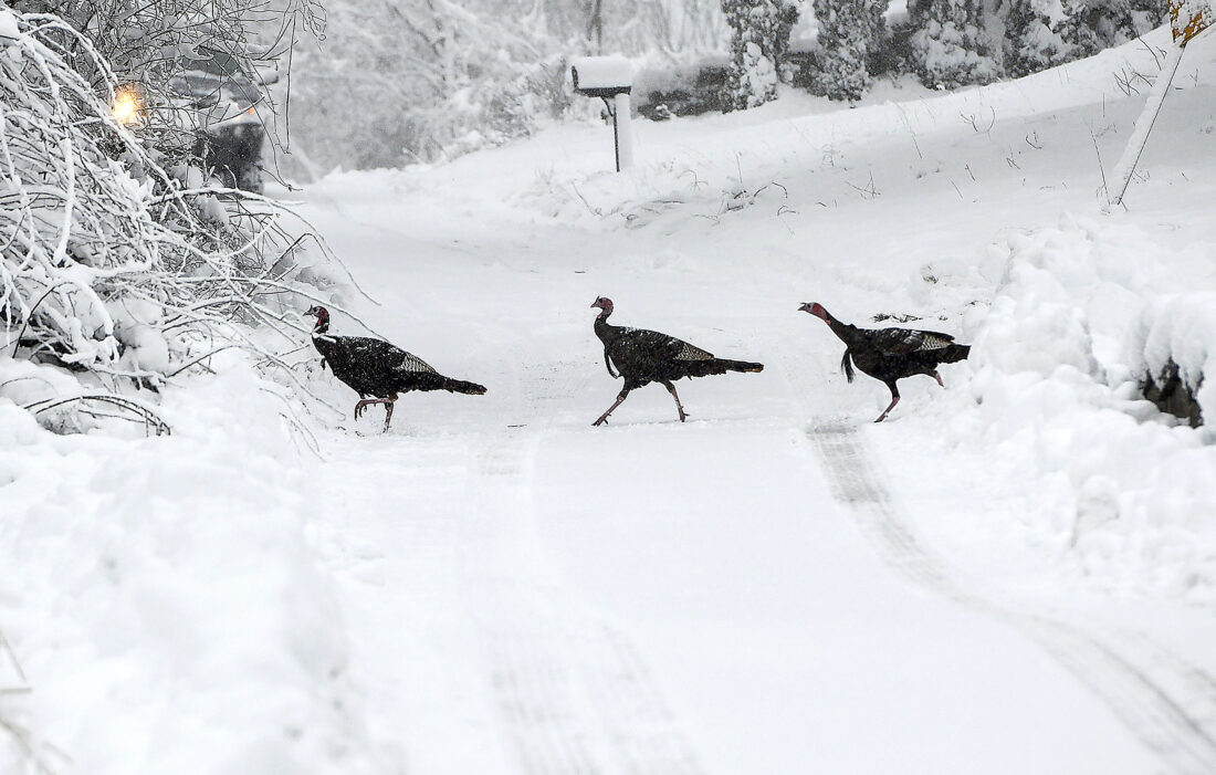 Midwest braces for blizzard conditions | News, Sports, Jobs - Altoona ...